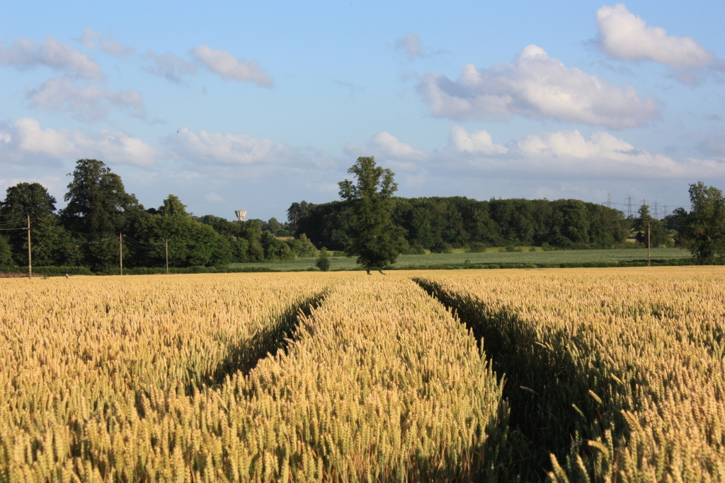 Manor Farm Bed & Breakfast, Grittleton Chippenham | Homepage
