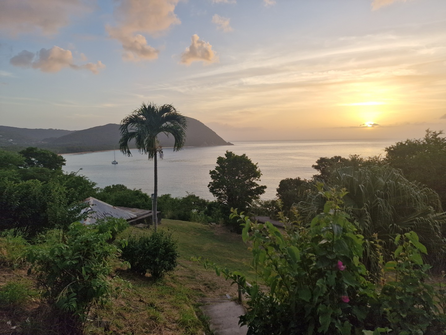 La Colline Verte, Deshaies | Acceuil