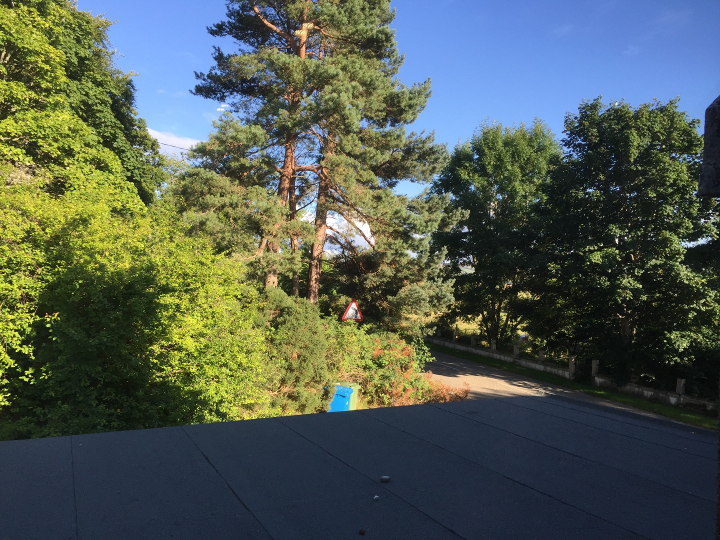 The Shandwick Inn, Invergordon | Homepage