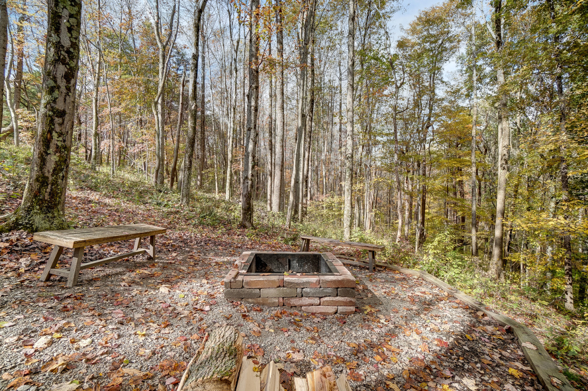 The Canopy Treehouse- Canopy Ridge Cabins by Canopy Ridge Cabins