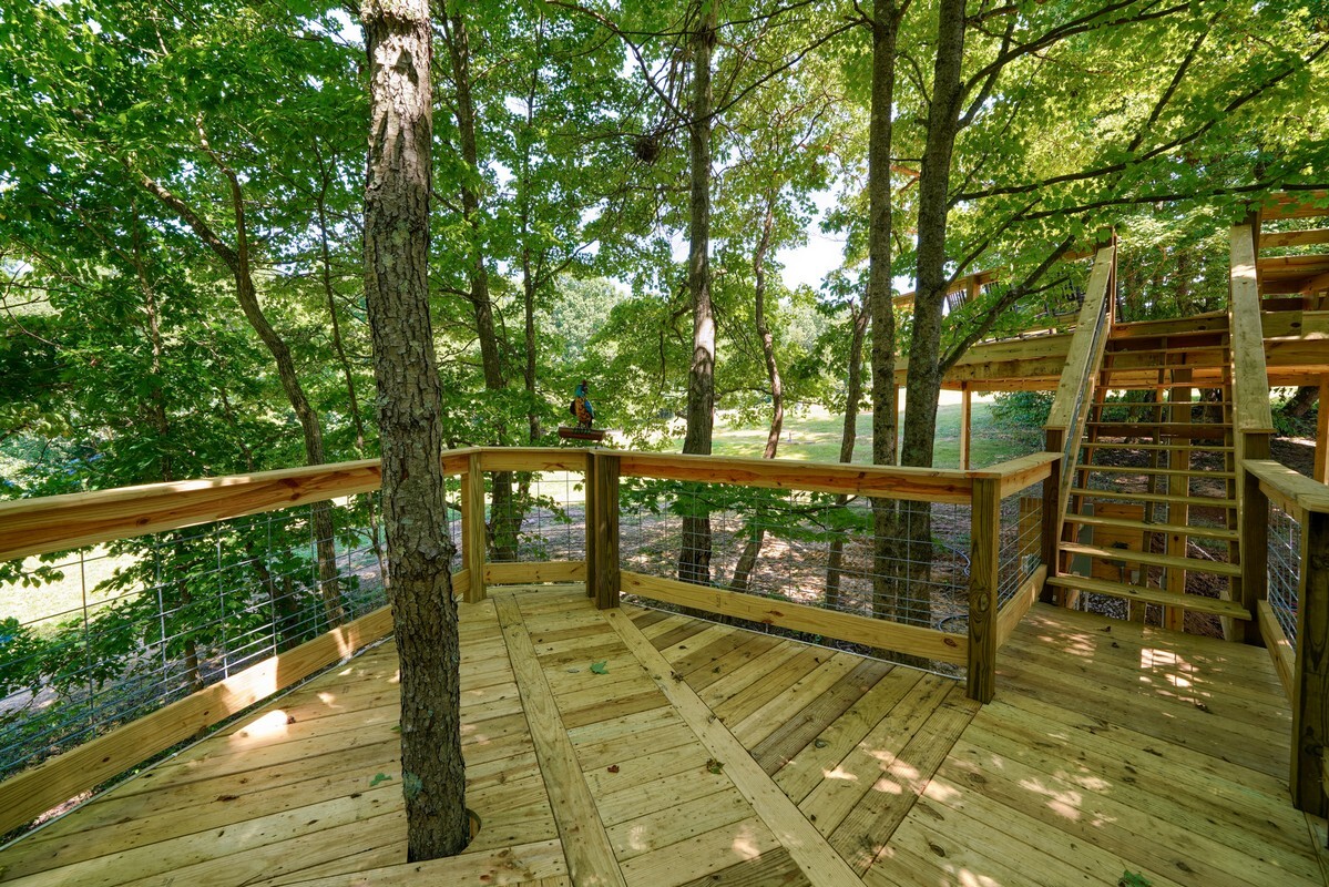 S-The Tree Houses at River Ranch - Rocking S by The Tree Houses at ...