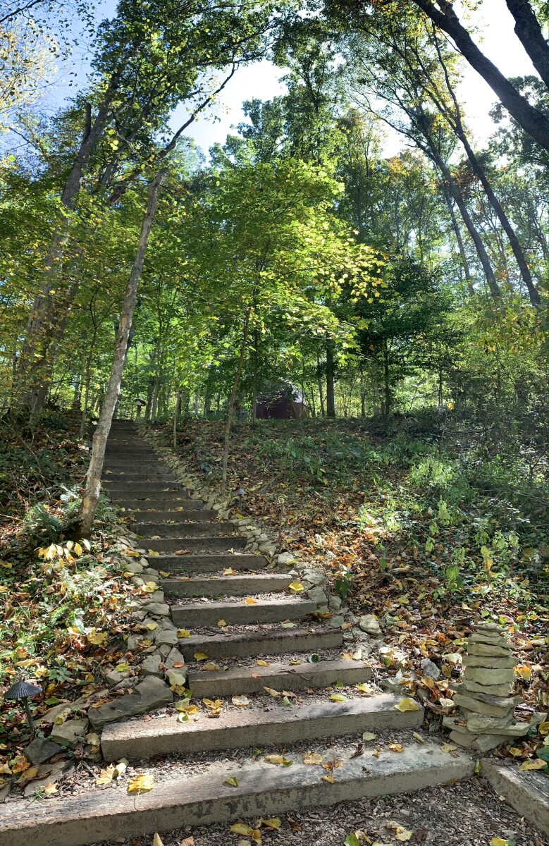 The Cocoon by Rooted Domes