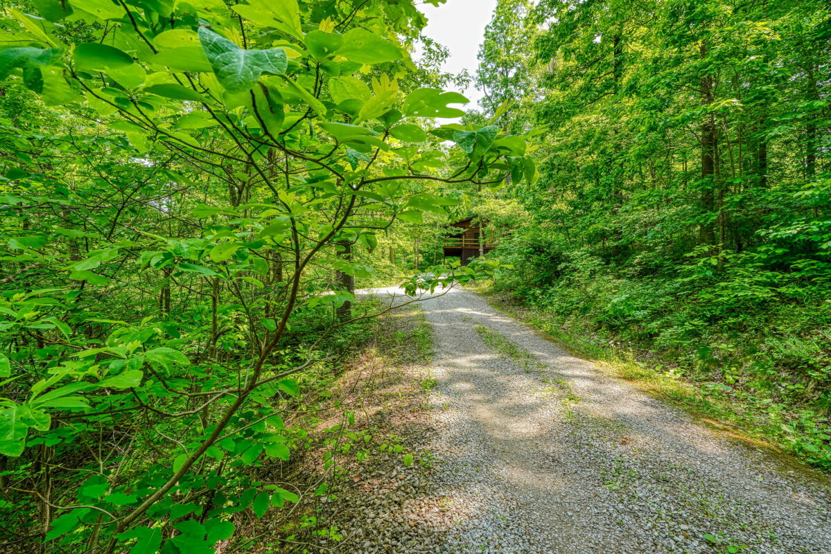 Zen Oak Retreat by Zen Oak Retreat