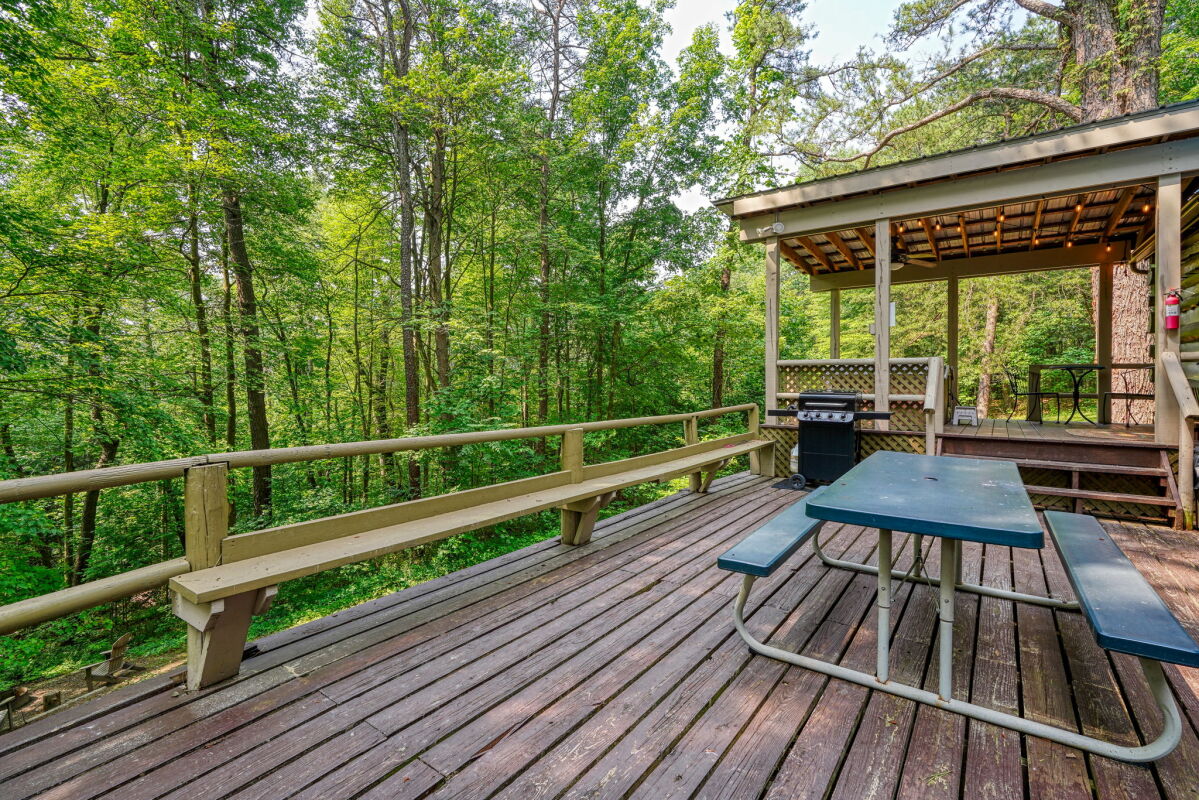 Waterfall Cabin by Book Hocking